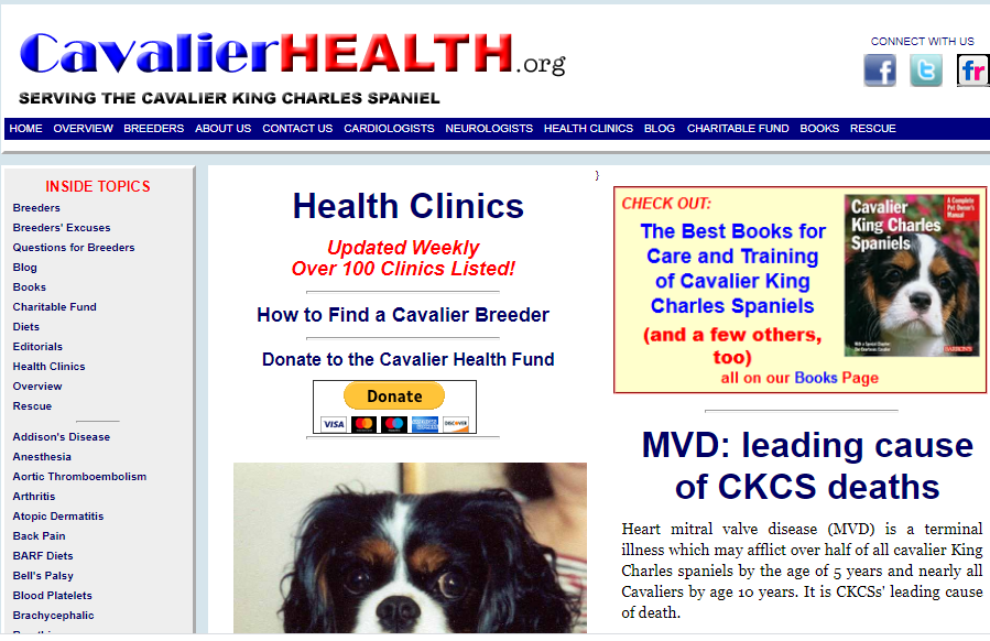 en-CAVALIER HEALTH :: silkystarcavalier.com
